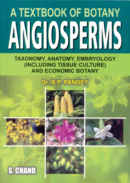 A Textbook of Botany : Angiosperms By B P Pandey