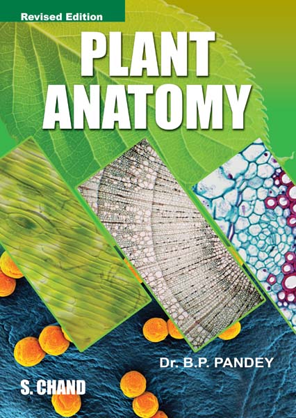 Plant Anatomy By B P Pandey